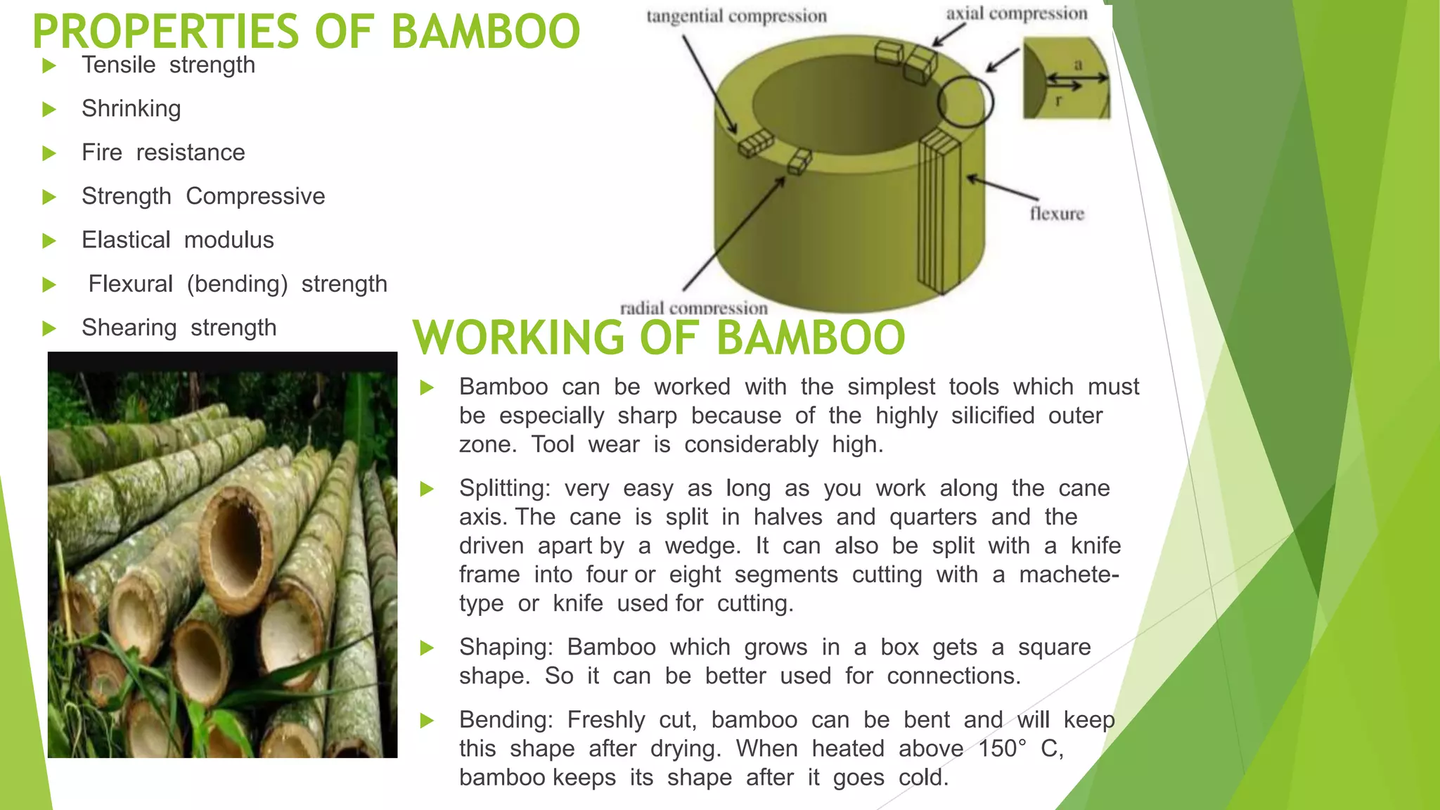 Bamboo as a sustainable building material ppt | PPTX