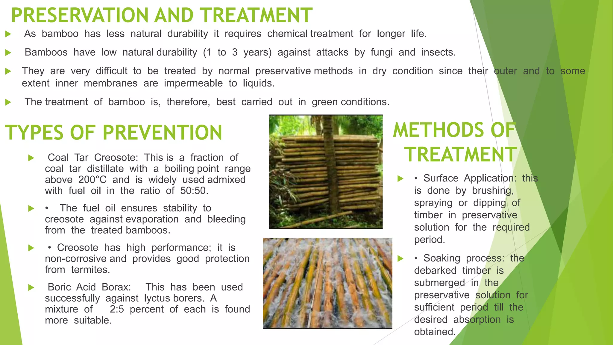 Bamboo as a sustainable building material ppt | PPTX