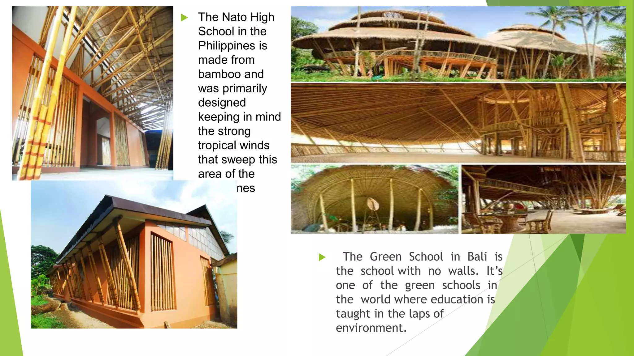 Bamboo as a sustainable building material ppt | PPTX