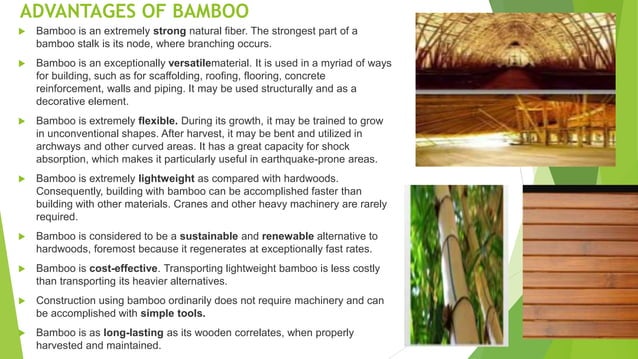 Bamboo as a sustainable building material ppt | PPTX | Woodworking ...