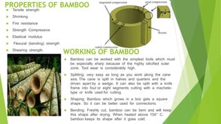 Bamboo as a sustainable building material ppt | PPTX