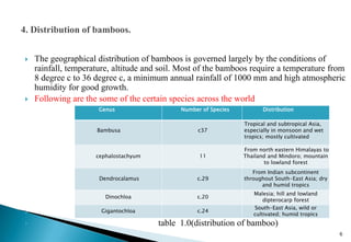 Bamboo a sustainable construction | PPTX