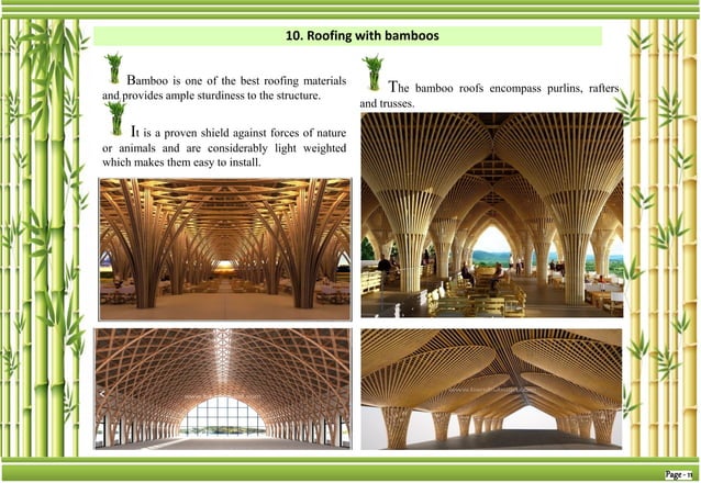 Bamboo A Sustainable Building Material.pdf | Gardening | Home & Garden