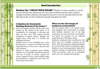 Bamboo A Sustainable Building Material.pdf | Gardening | Home & Garden