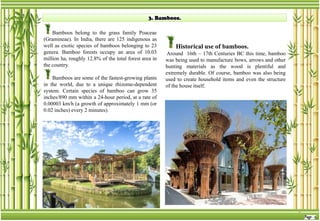 Bamboo A Sustainable Building Material.pdf