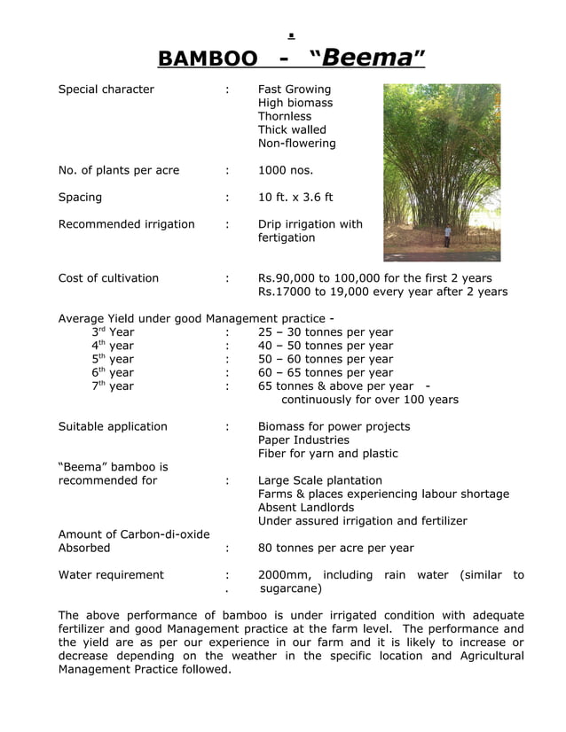 Bamboo beema | DOC