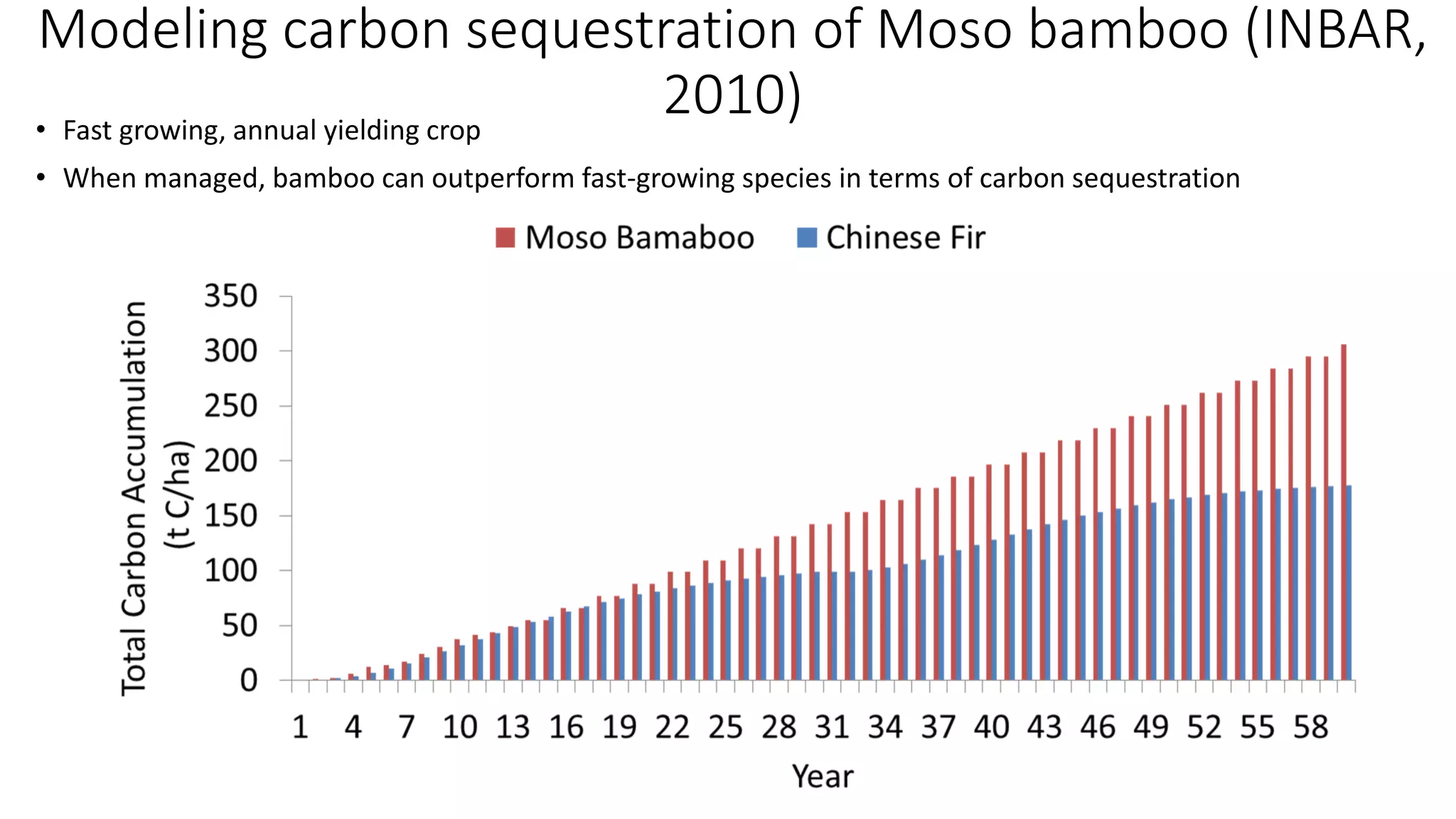 Bamboo biomass an overlooked energy resource | PPTX