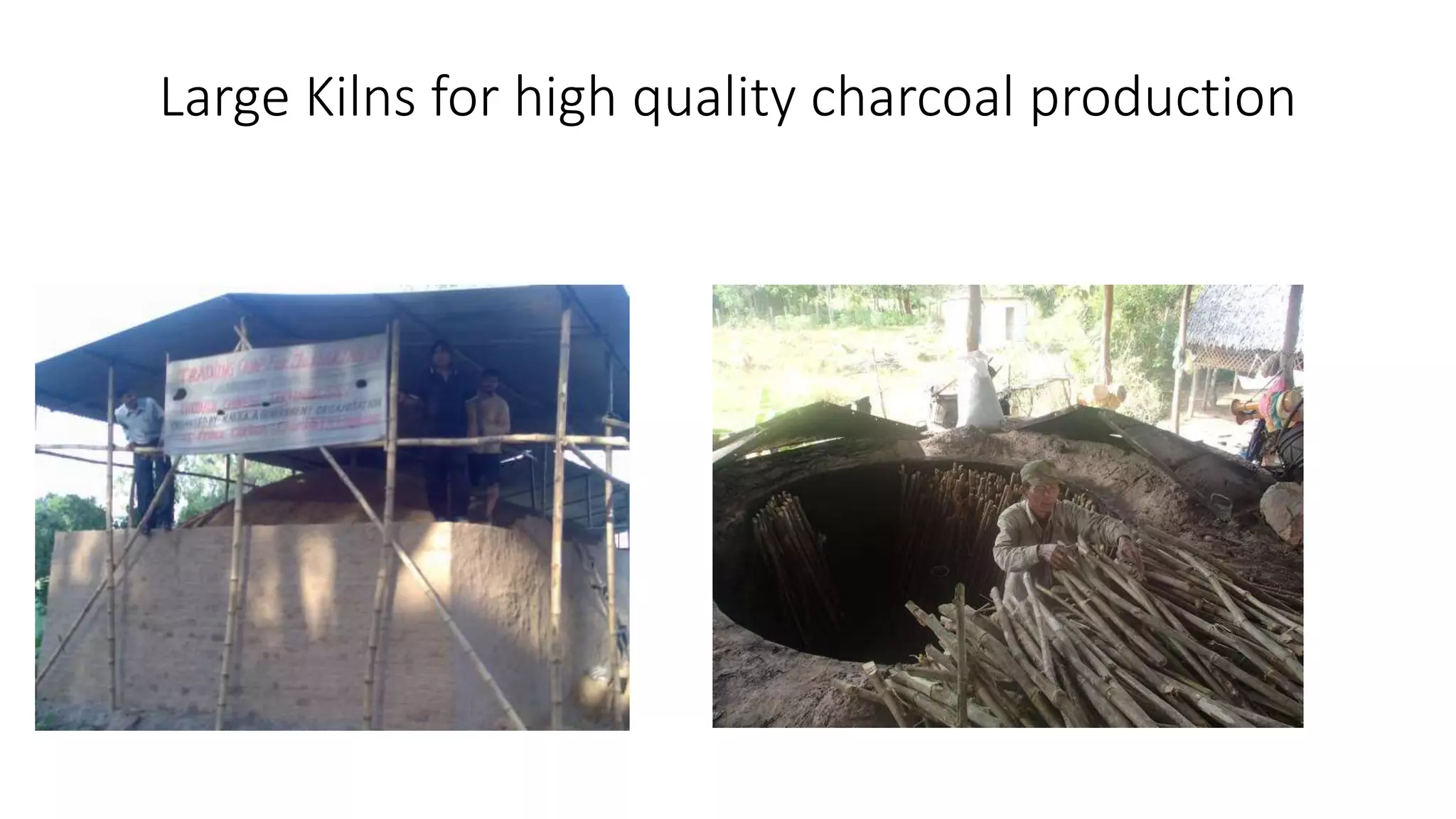 Bamboo biomass an overlooked energy resource | PPTX