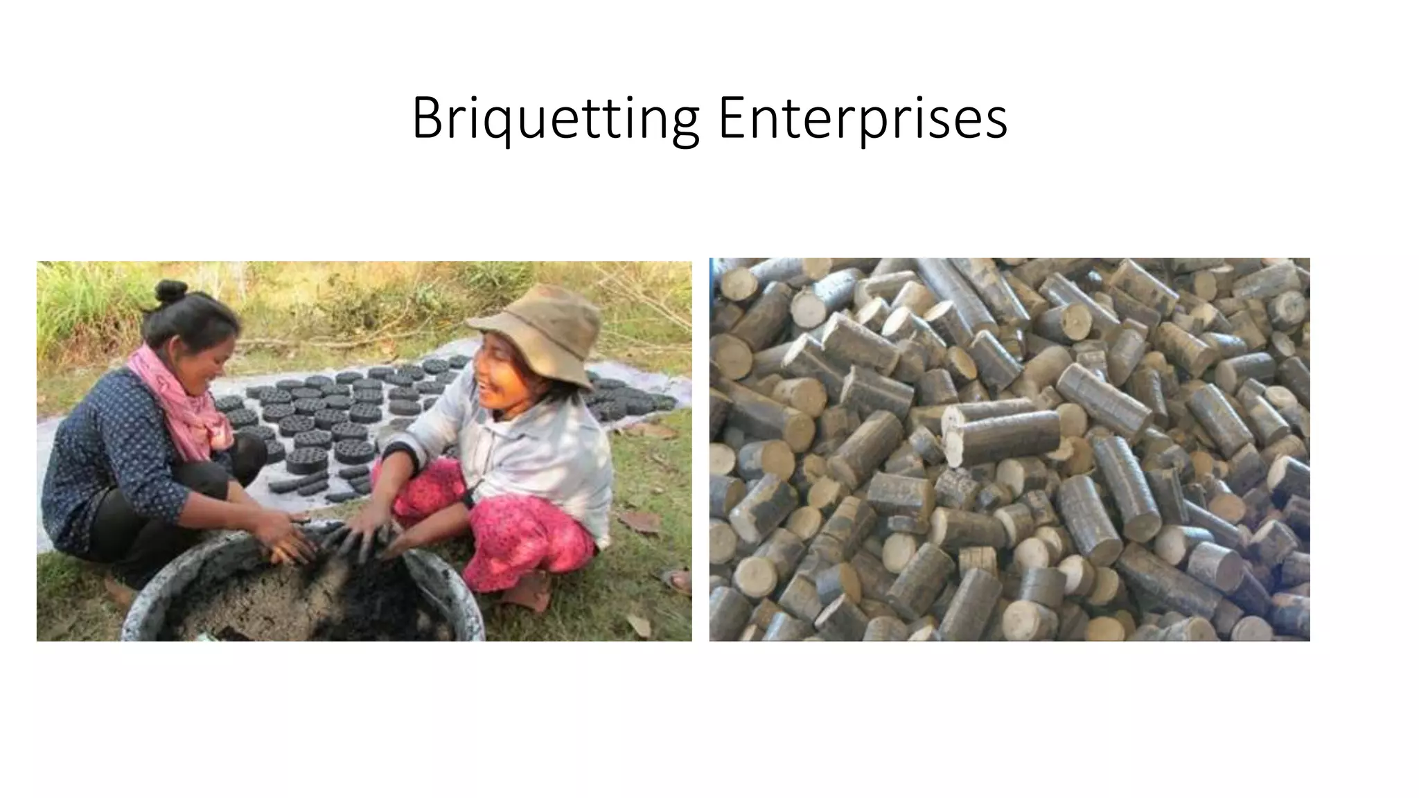 Bamboo biomass an overlooked energy resource | PPTX