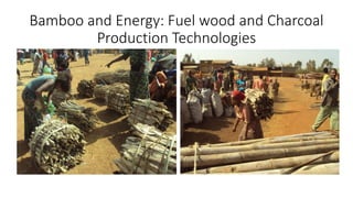 Bamboo biomass an overlooked energy resource | PPTX