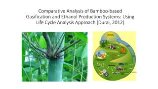 Bamboo biomass an overlooked energy resource | PPTX
