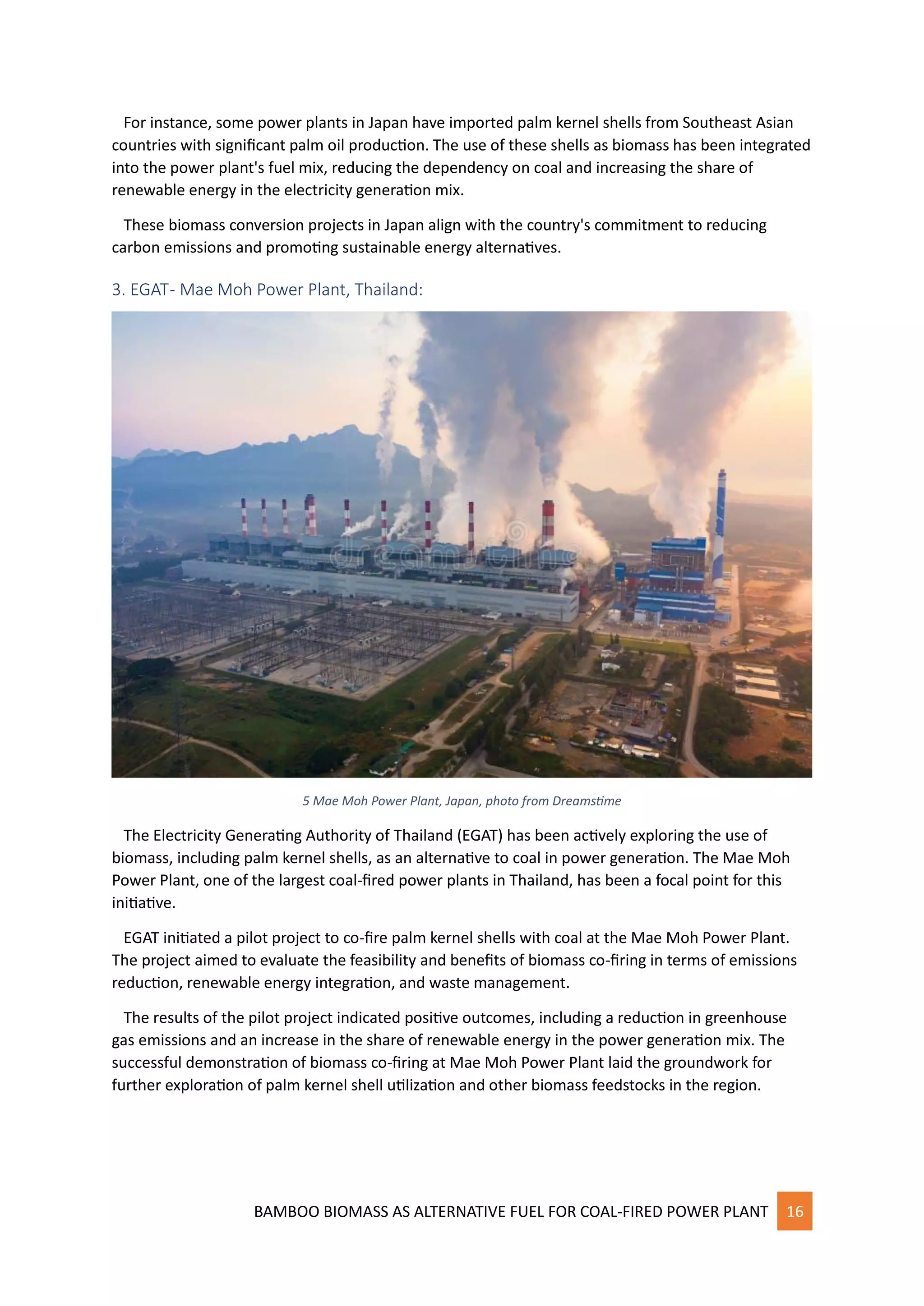 Bamboo Biomass As Alternative Fuel For Coal Fired Power Plants.pdf