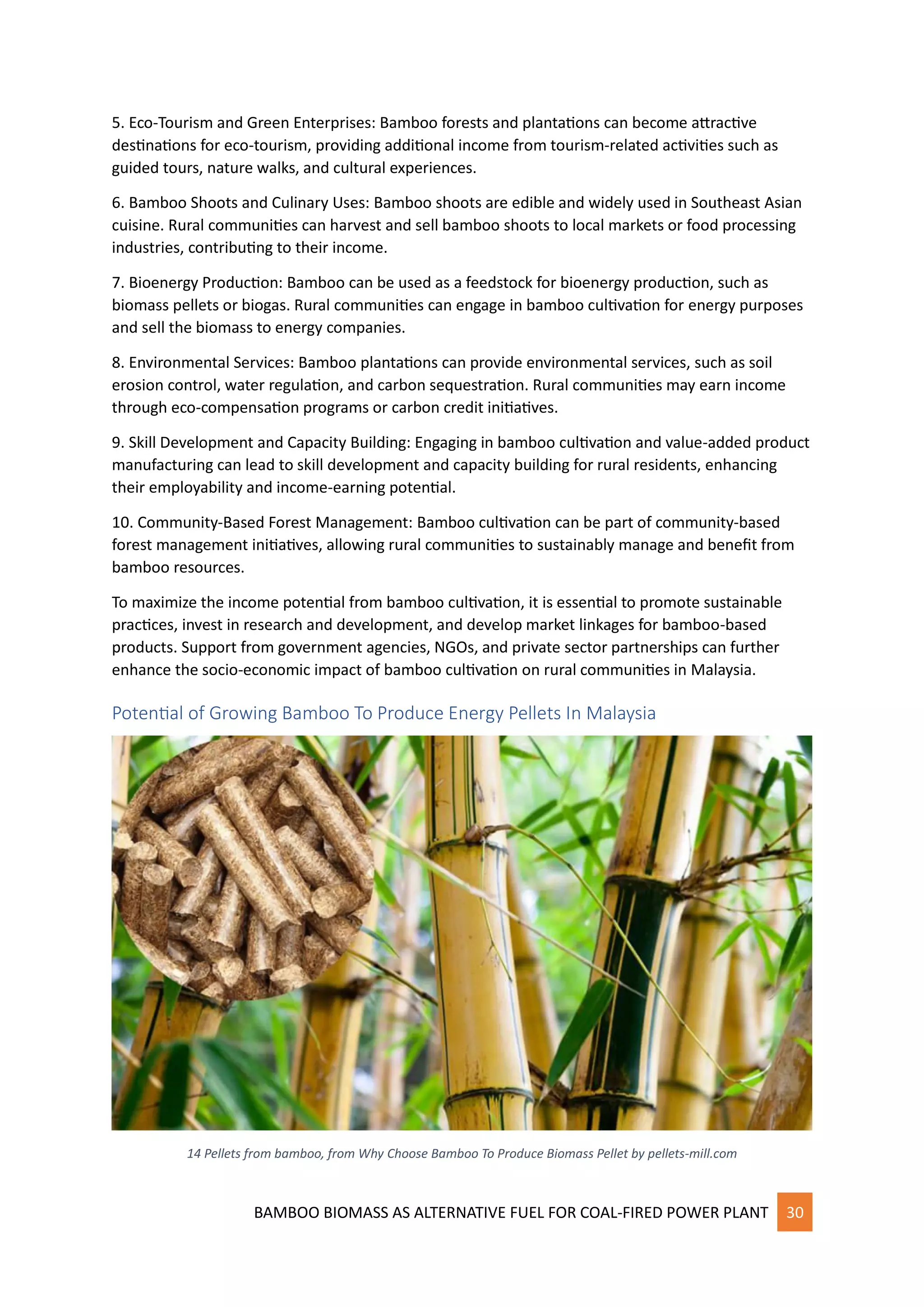Bamboo Biomass As Alternative Fuel For Coal Fired Power Plants.pdf
