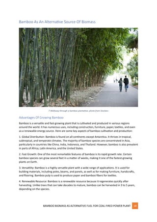 Bamboo Biomass As Alternative Fuel For Coal Fired Power Plants.pdf