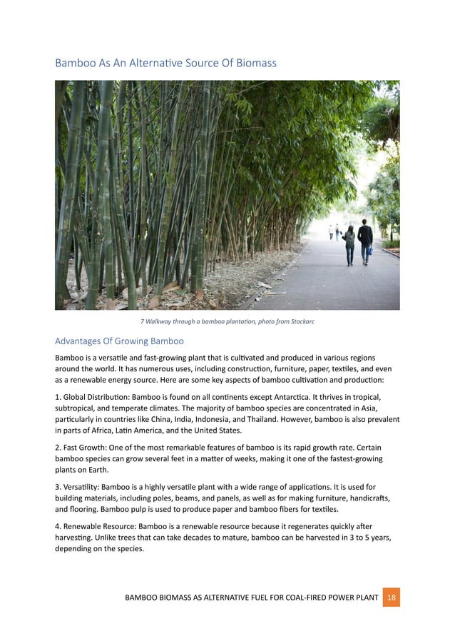 Bamboo Biomass As Alternative Fuel For Coal Fired Power Plants.pdf