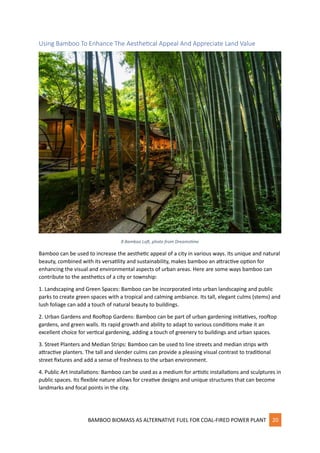 Bamboo Biomass As Alternative Fuel For Coal Fired Power Plants.pdf
