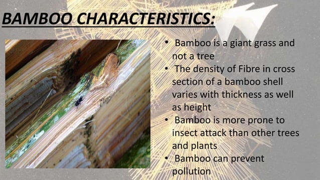 Bamboo Blocks An Emerging Construction Material.pptx