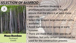 Bamboo Blocks An Emerging Construction Material.pptx