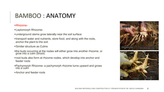 Bamboo - Building Materials and Construction | PDF