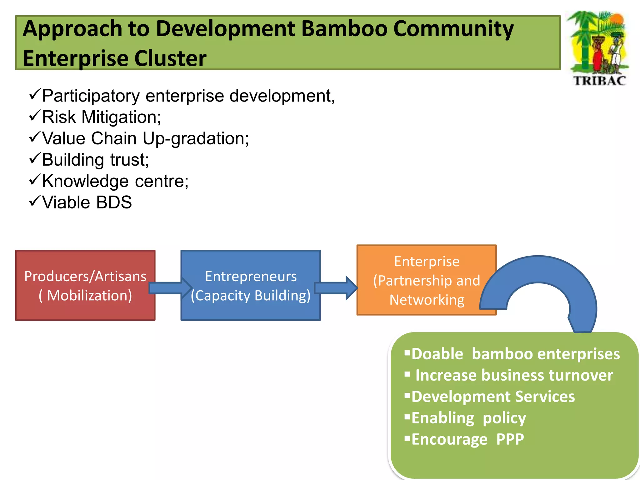 Bamboo Cluster Development | PDF