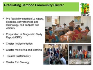 Bamboo Cluster Development | PDF