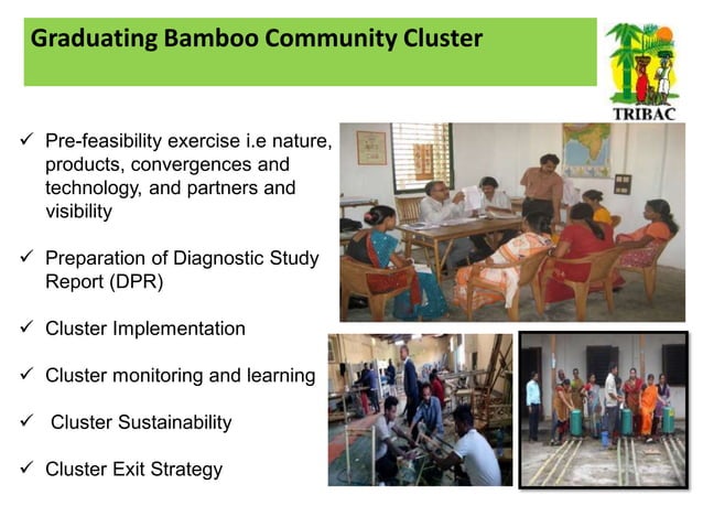 Bamboo Cluster Development | PDF