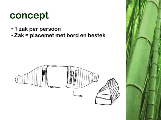 Bamboo concept | PPT