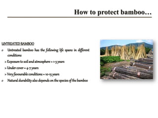 bamboo species good for construction in india nd as a material | PPTX