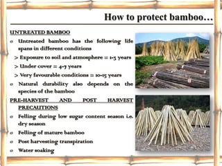 Bamboo construction (final ppt) | PPTX