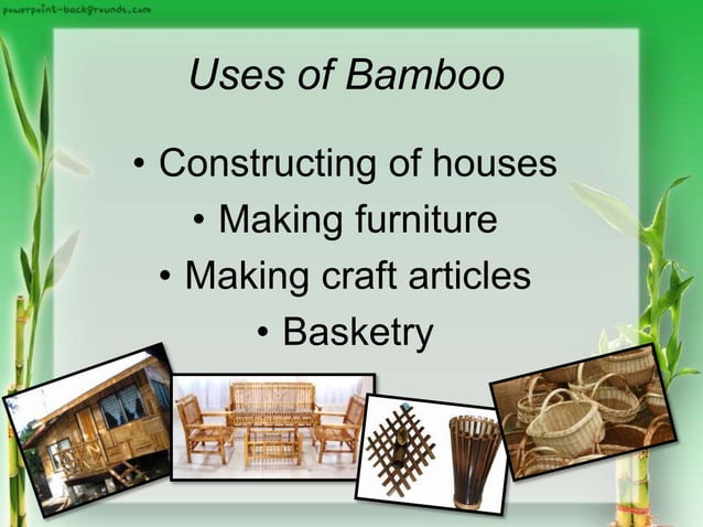 Bamboo Craft | PPTX | Woodworking | Arts and Crafts
