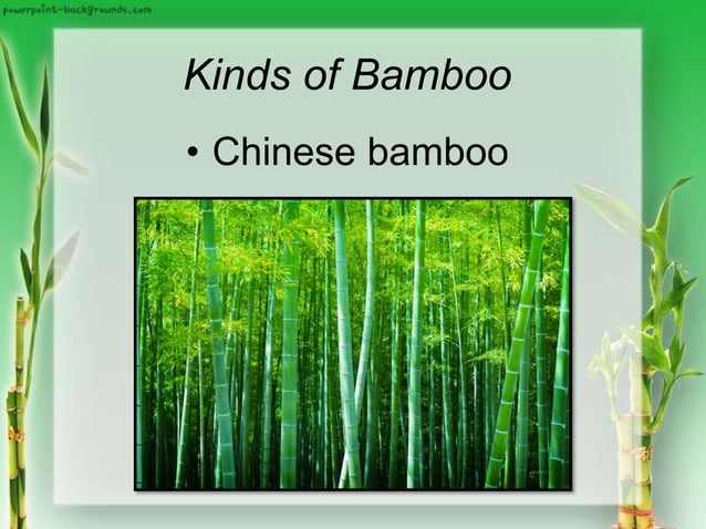 Bamboo Craft | PPTX | Woodworking | Arts and Crafts