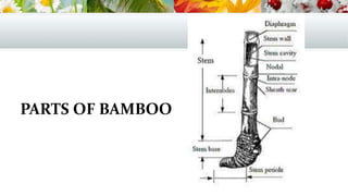 Bamboo crafts grade 7 | PPTX