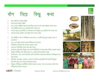 Bamboo Craft Enterprise Development | PDF