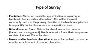 Bamboo data measurement in the field | PPTX