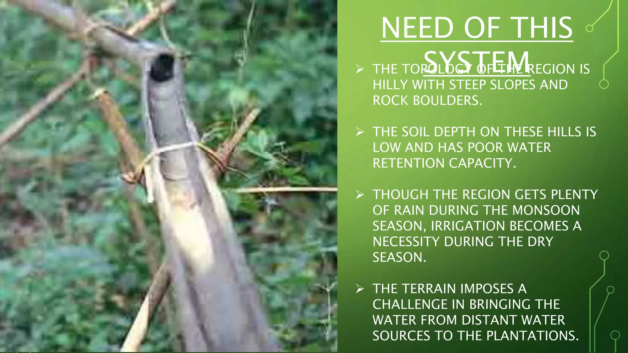 Bamboo drip irrigation | PPTX