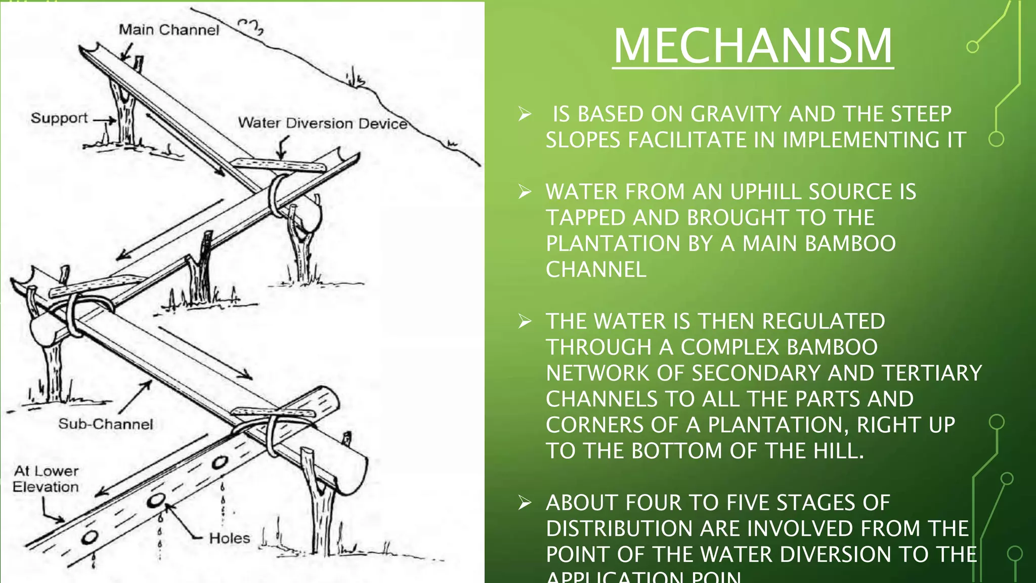 Bamboo drip irrigation | PPTX