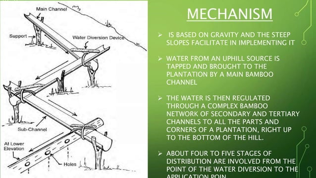 Bamboo drip irrigation | PPTX | Agriculture | Industries
