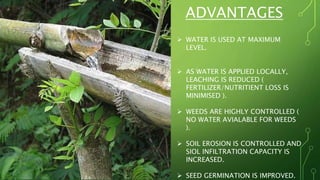 Bamboo drip irrigation | PPTX