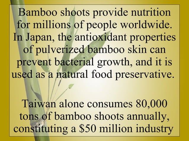 Bamboo Facts | PPT
