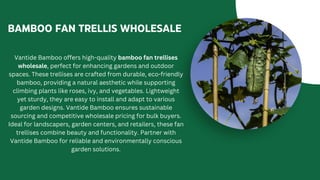 Bamboo Fan Trellis Wholesale - Vantidebamboo.com