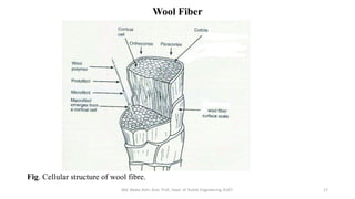 Bamboo Fiber.pdf