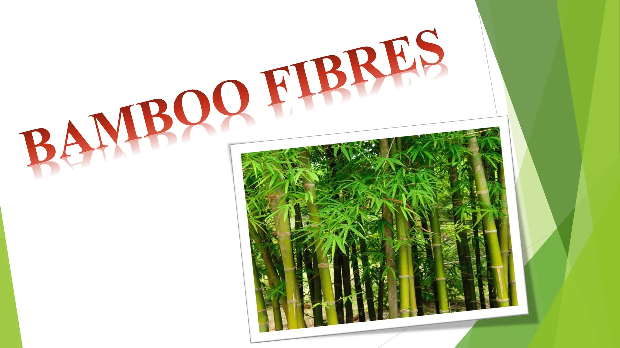BAMBOO FIBRE.pdf
