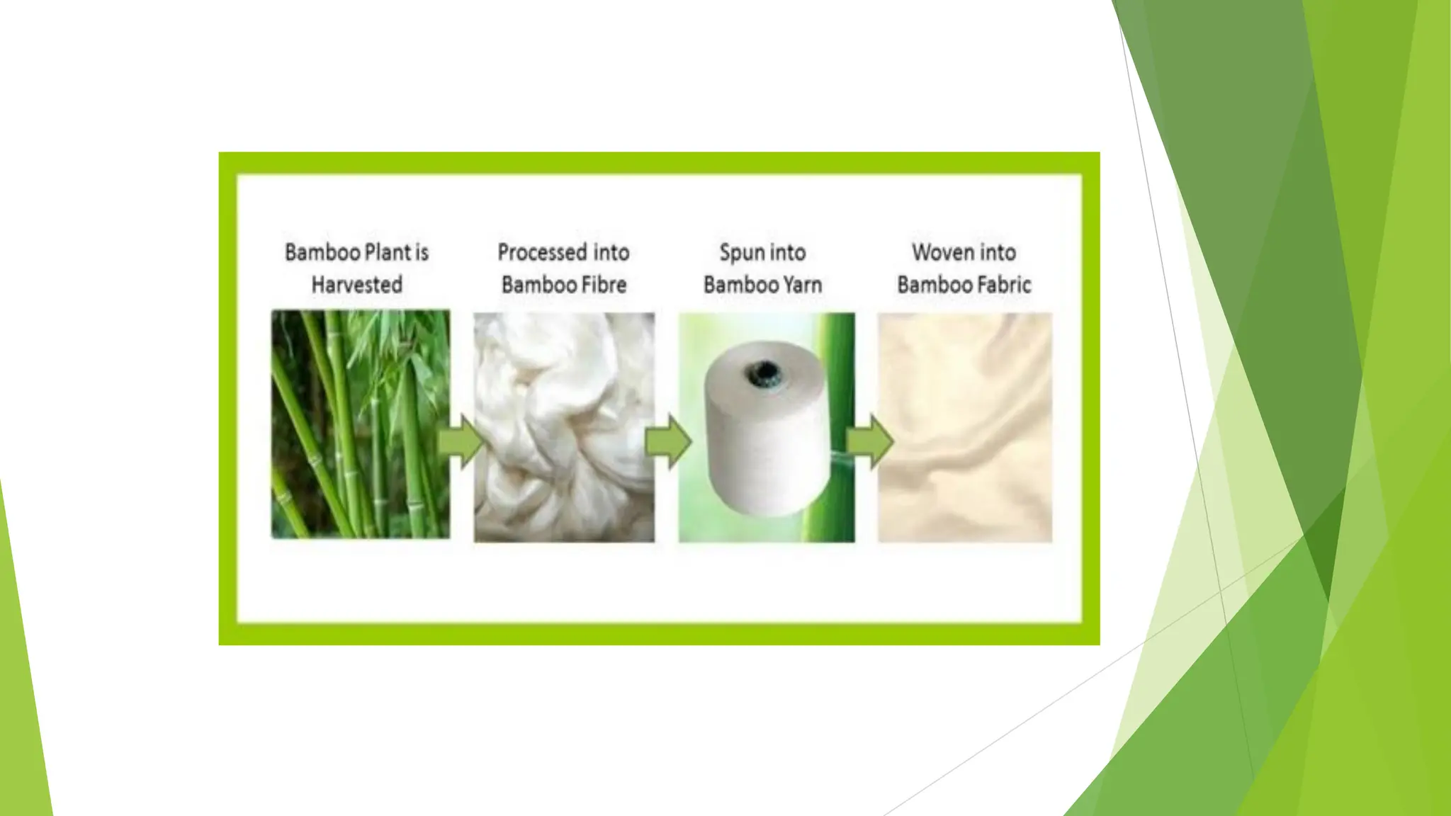 BAMBOO FIBRE.pdf