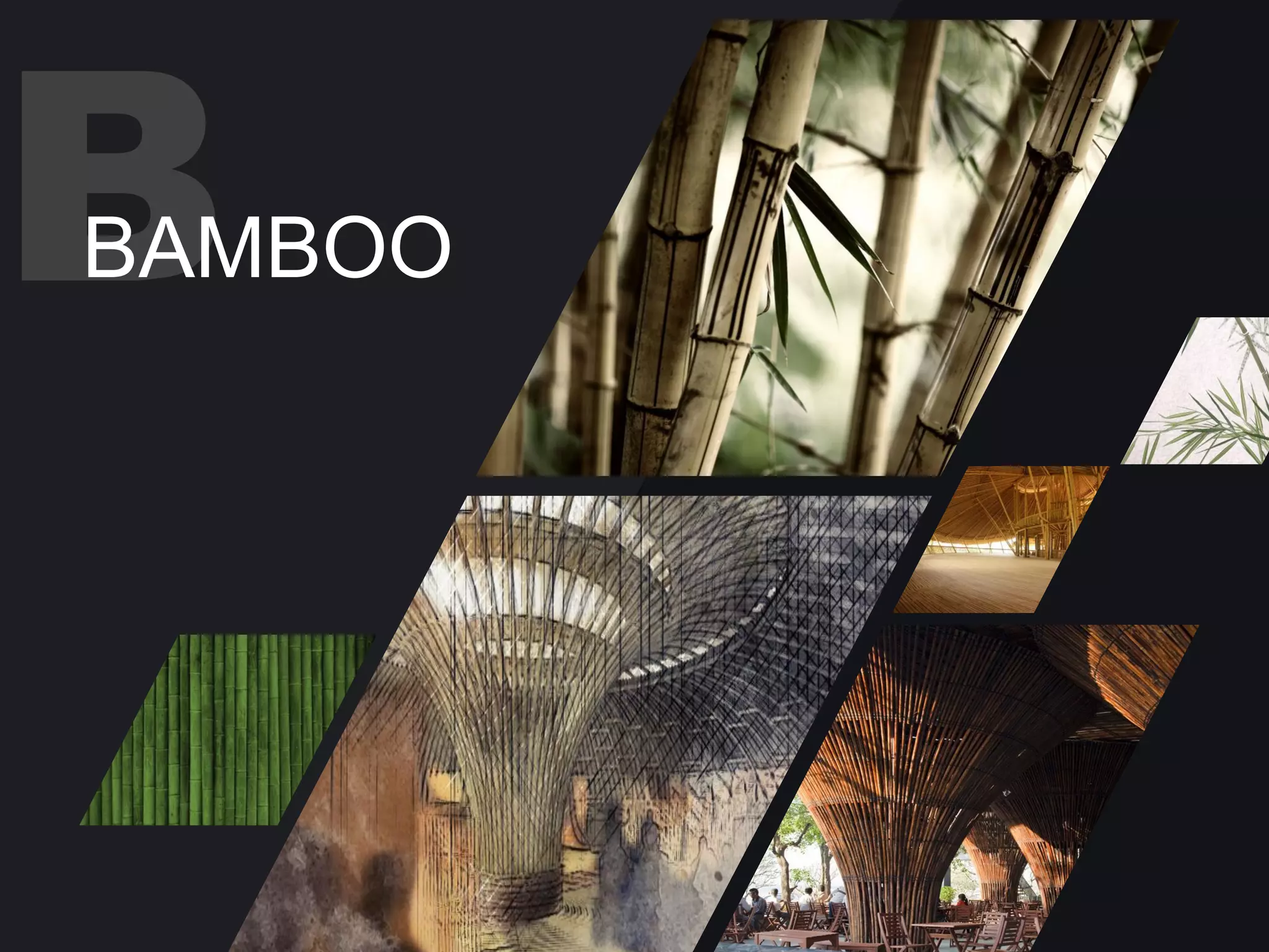 Bamboo | PDF