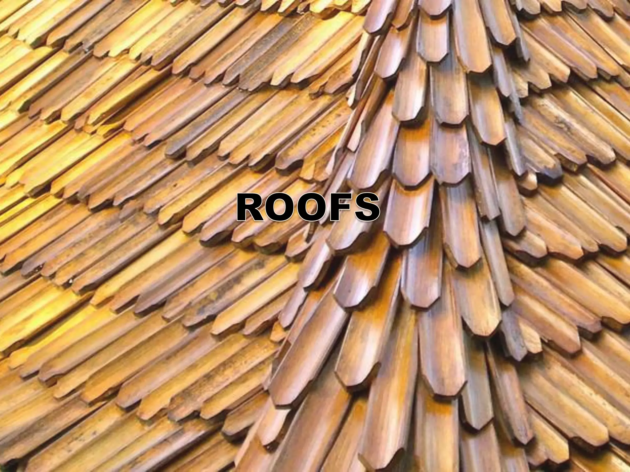Bamboo | PDF