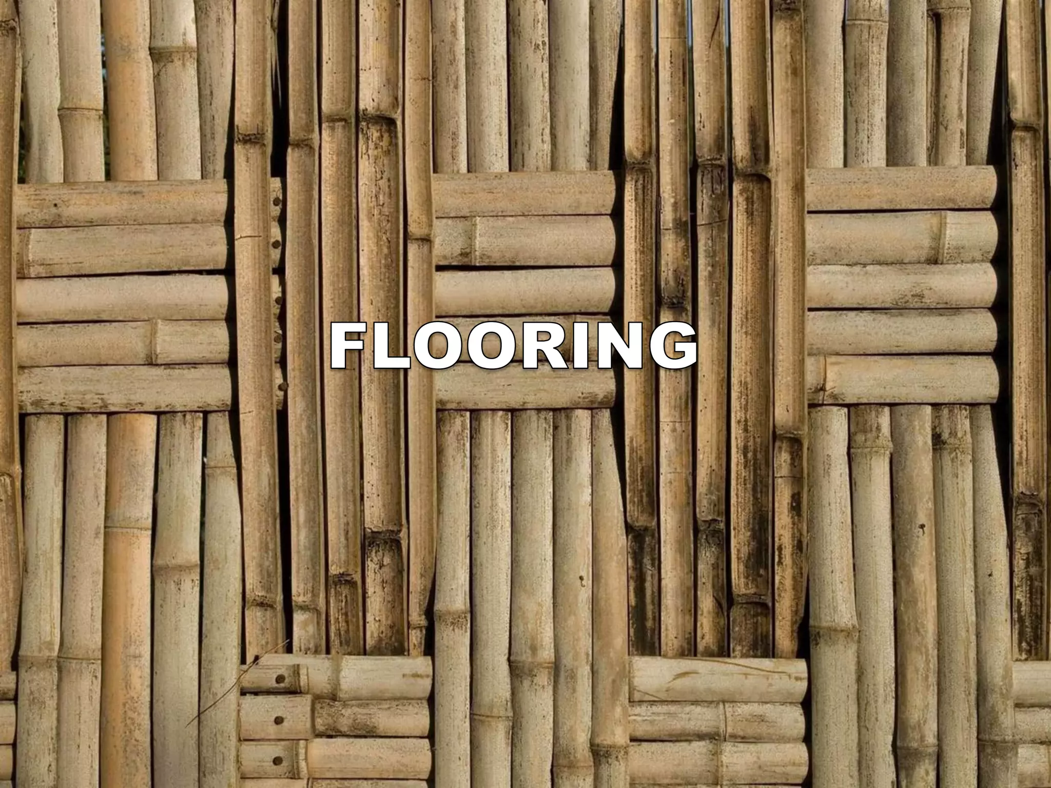 Bamboo | PDF