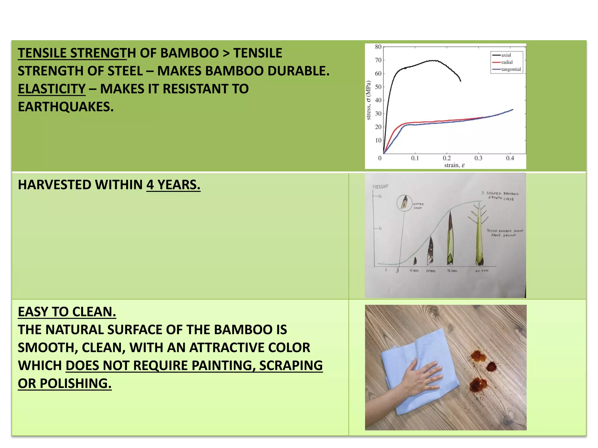 Bamboo | PDF