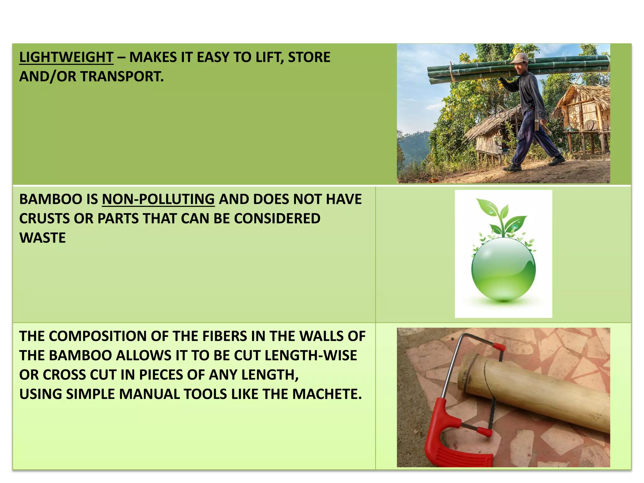 Bamboo | PDF