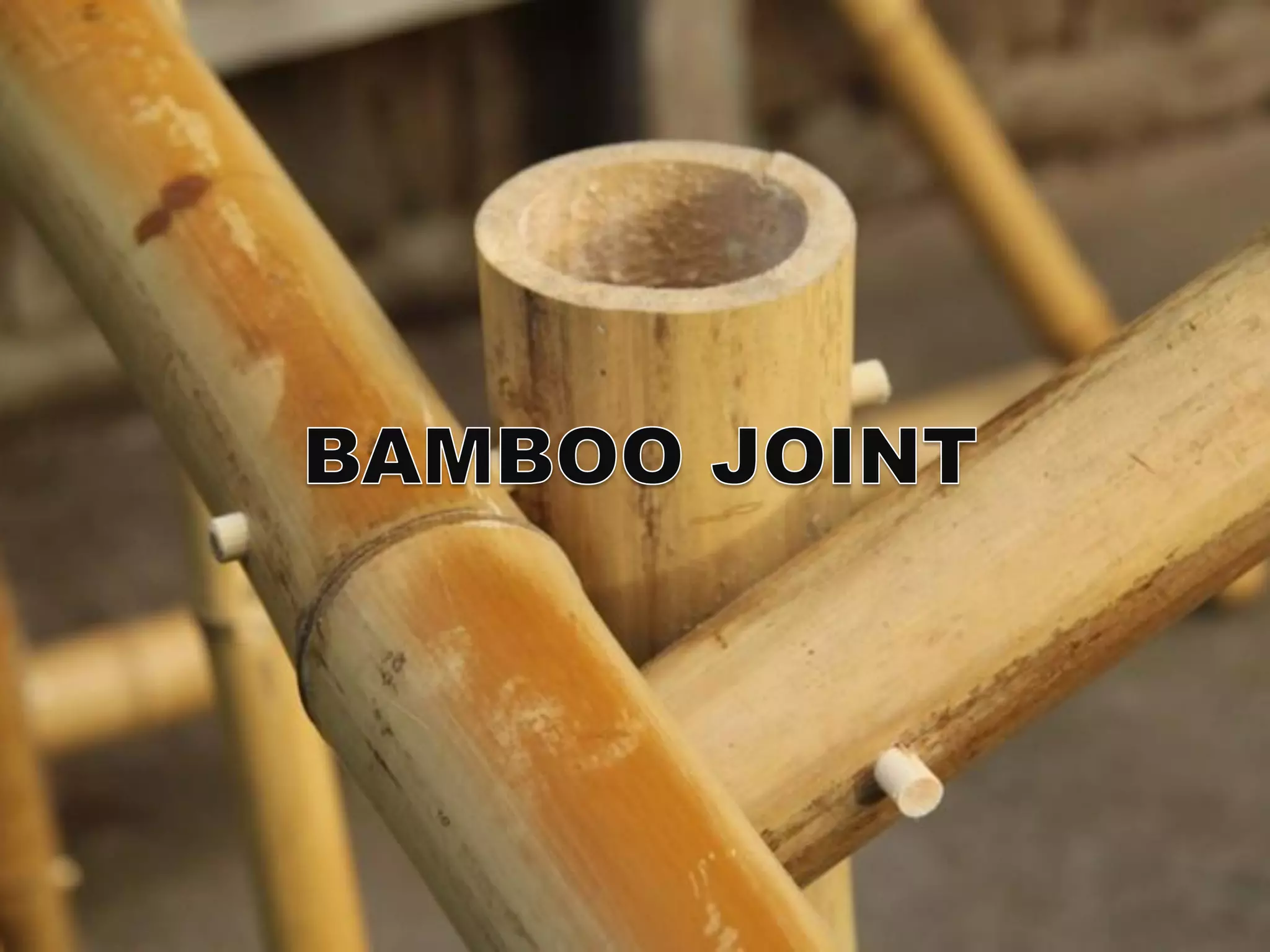 Bamboo | PDF