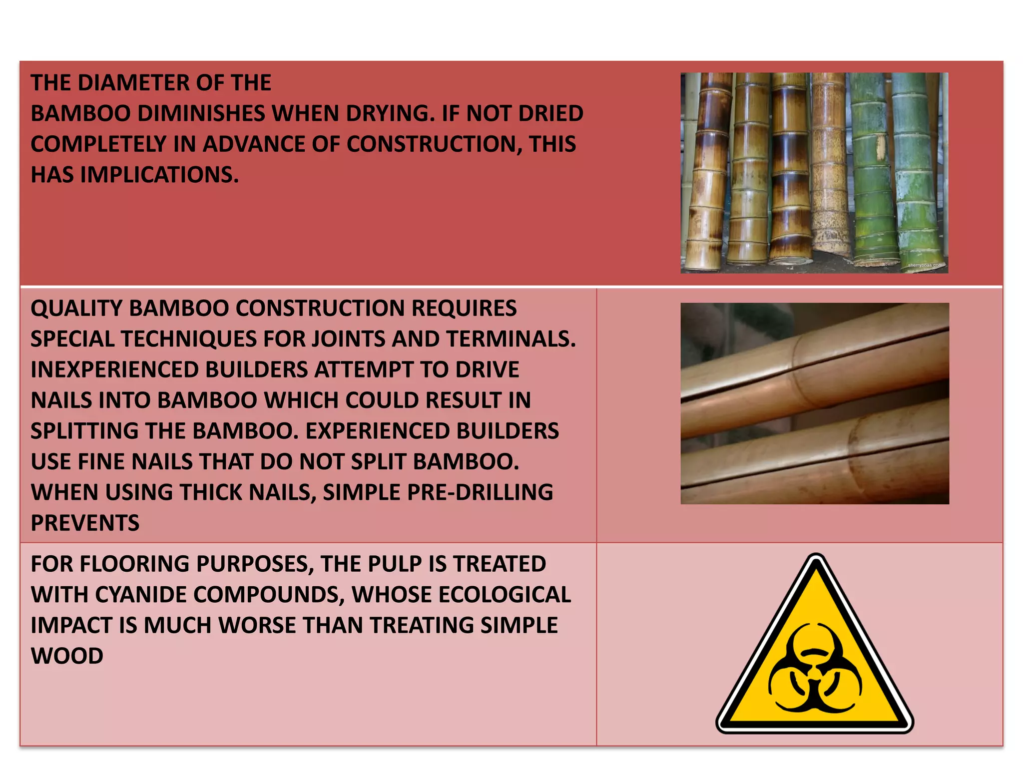 Bamboo | PDF